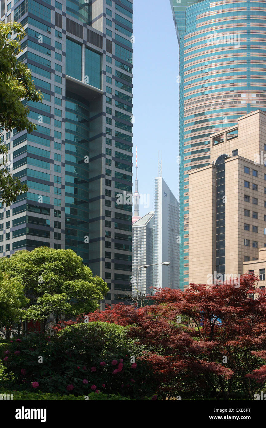 Shanghai high-rise buildings in Pudong Stock Photo - Alamy