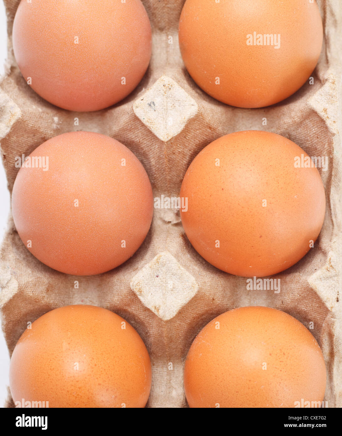 Eggs In Tray Stock Photo - Alamy