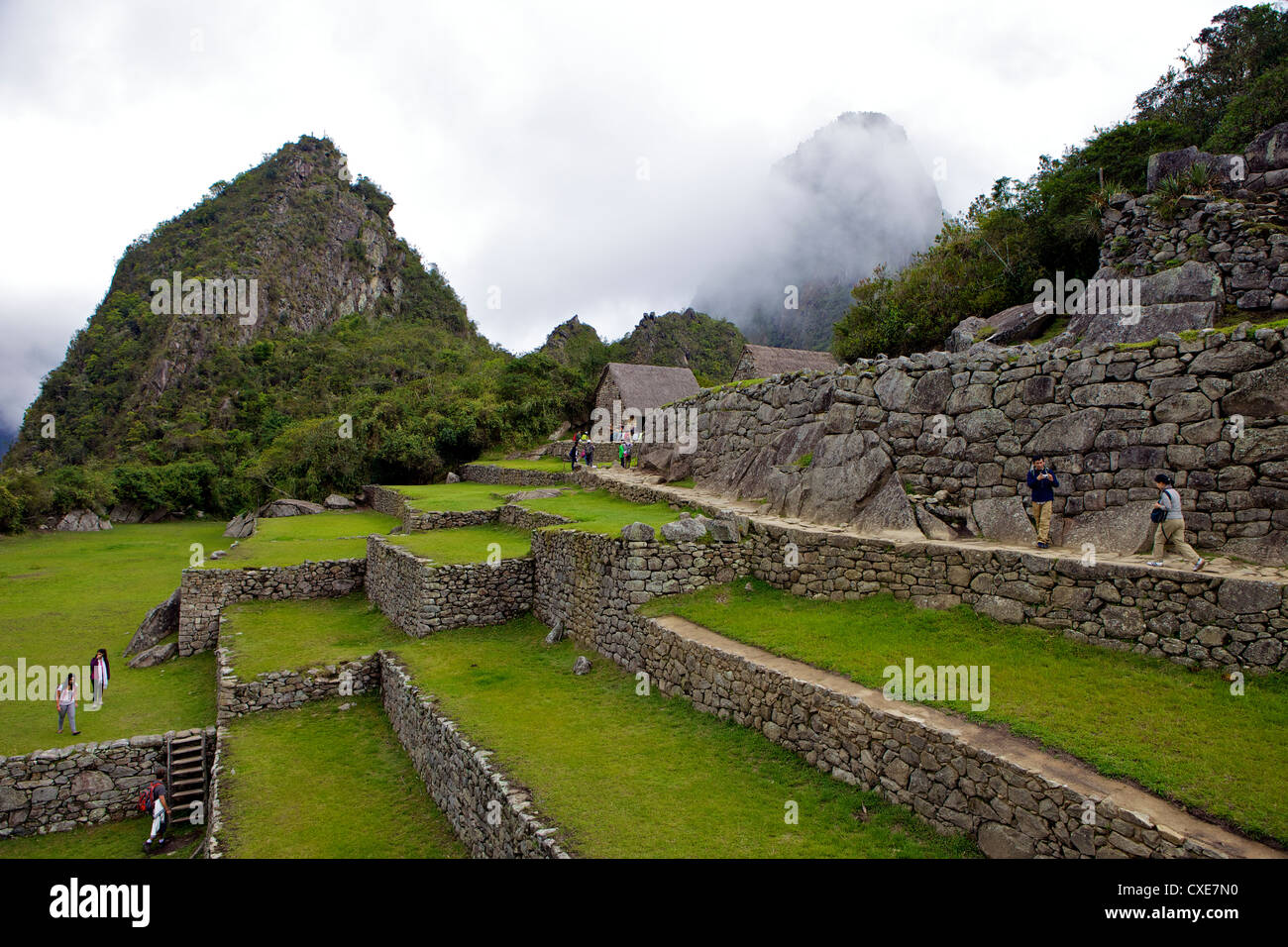 Agricultural terraces , Machu Picchu, peru, South America. The lost ...