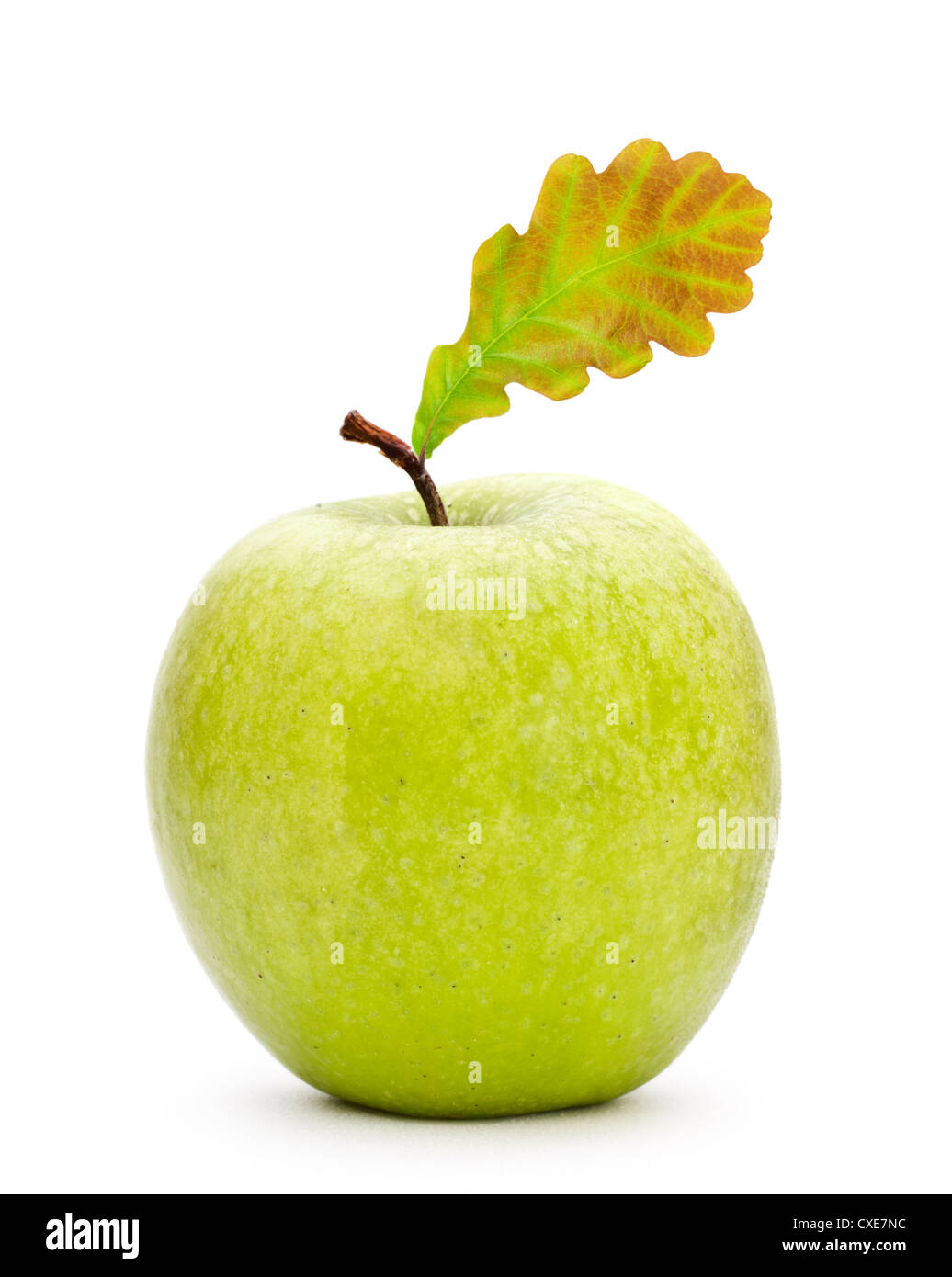 Transgenic apple hi-res stock photography and images - Alamy