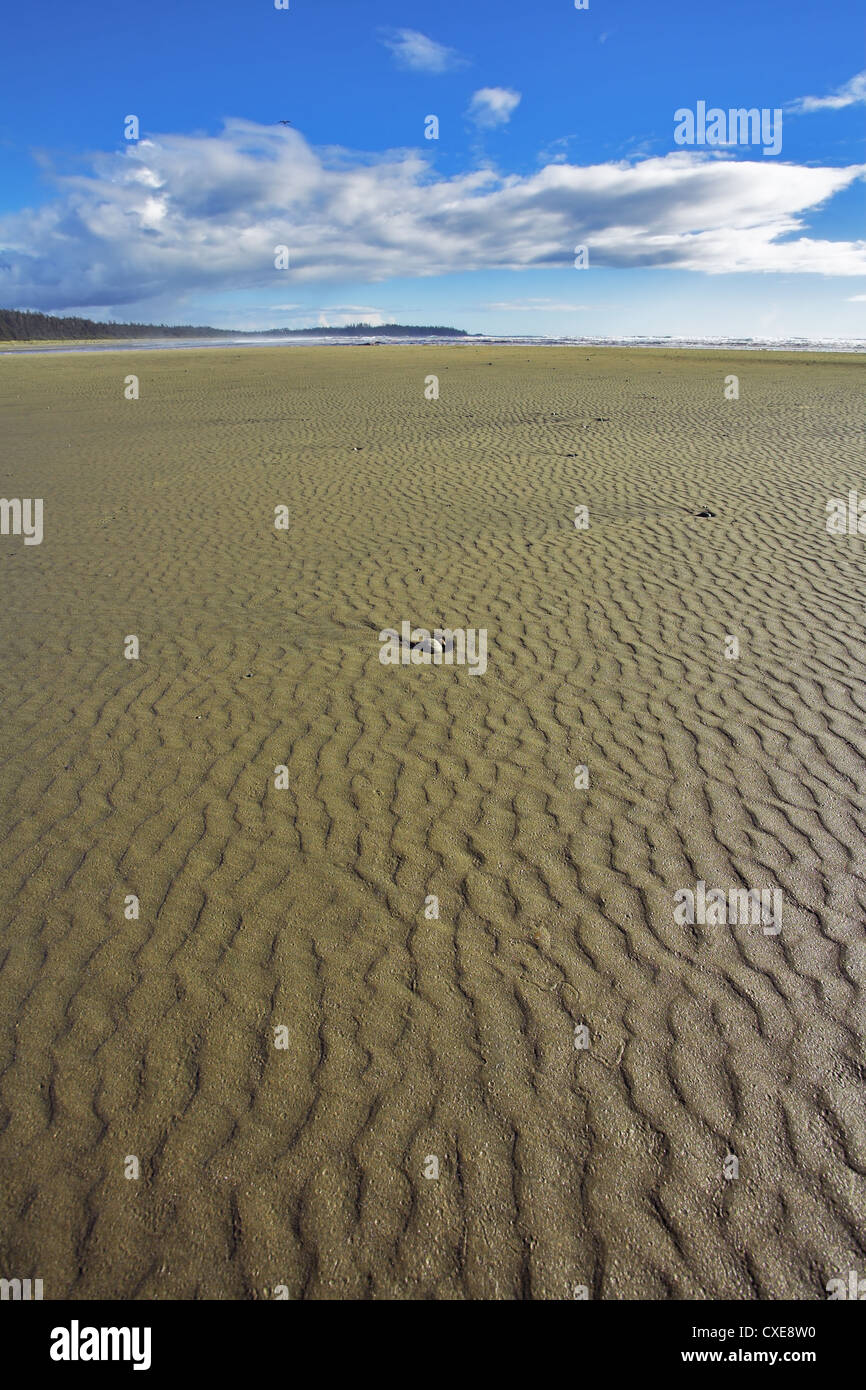 Shallow sandy sand hi-res stock photography and images - Alamy