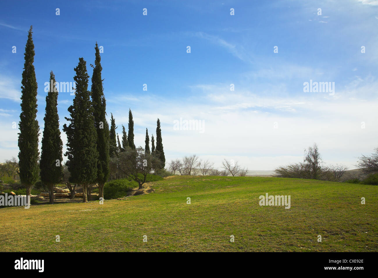 Oasis front and center hi-res stock photography and images - Alamy