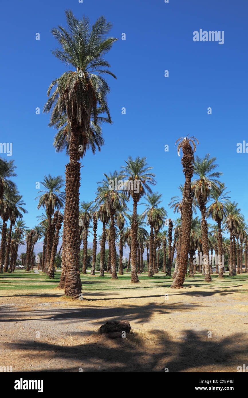 Furnace creek death valley hi-res stock photography and images - Alamy