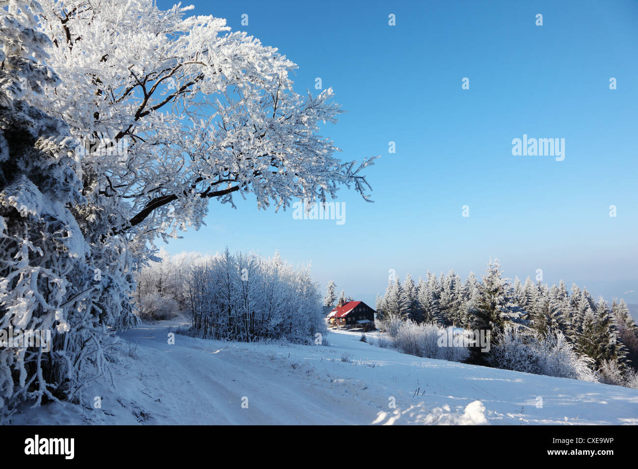 Vacations in winter mountains hi-res stock photography and images - Alamy