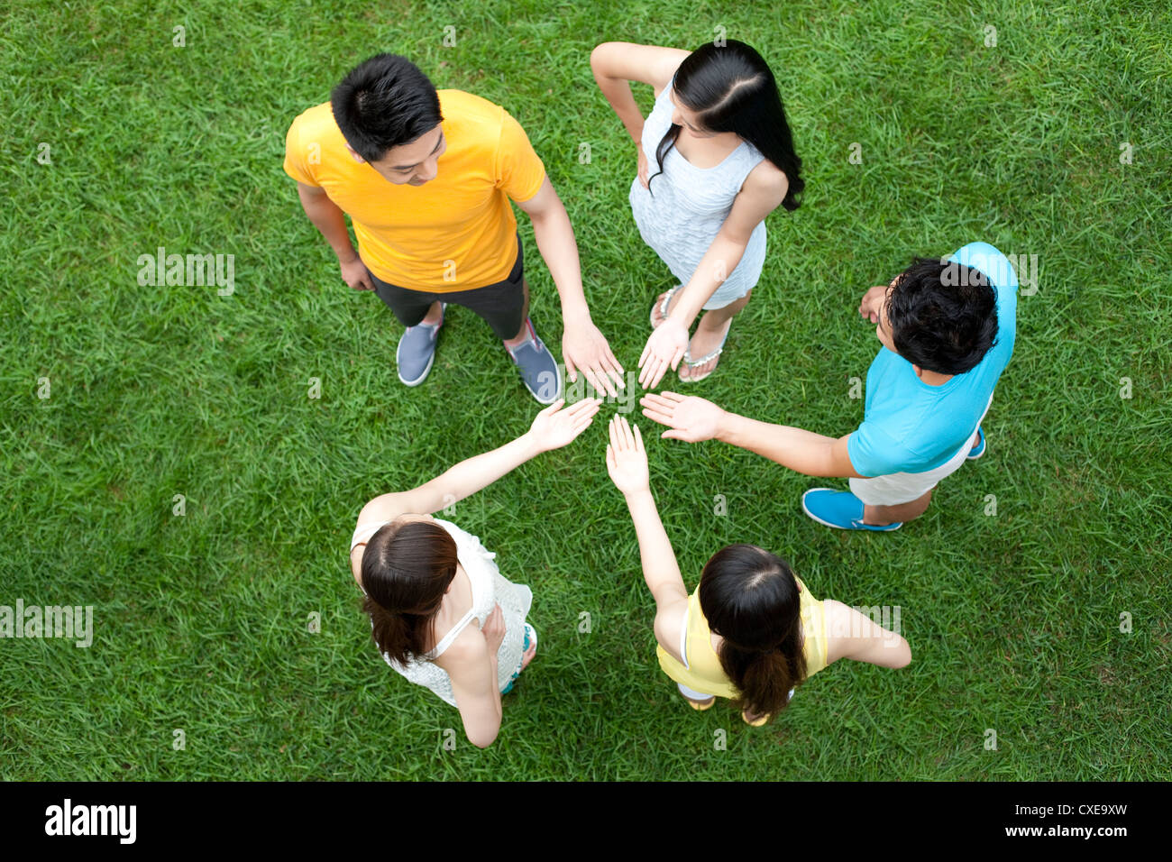Friends putting hands together on meadow Stock Photo - Alamy