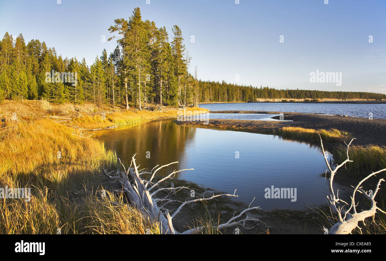 Snags hi-res stock photography and images - Alamy