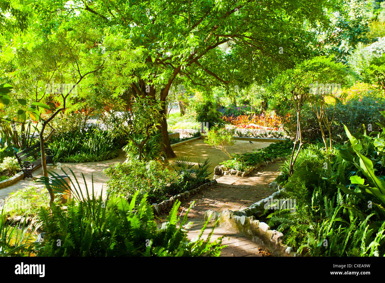 Alameda gardens gibraltar hi-res stock photography and images - Alamy