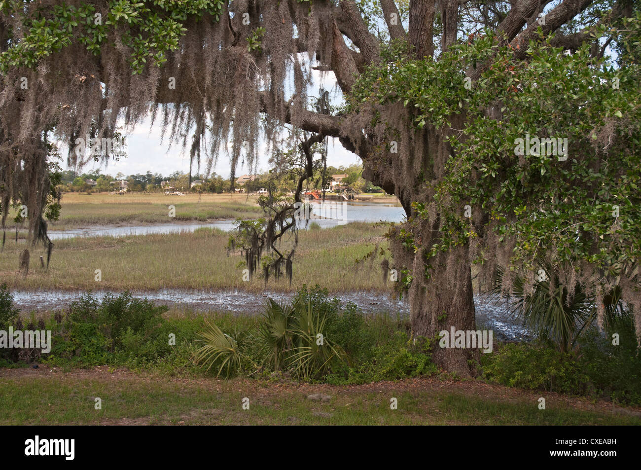 Lowcountry Landscape High Resolution Stock Photography and Images - Alamy