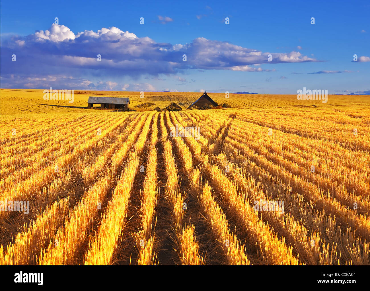 Solar autumn midday Stock Photo - Alamy