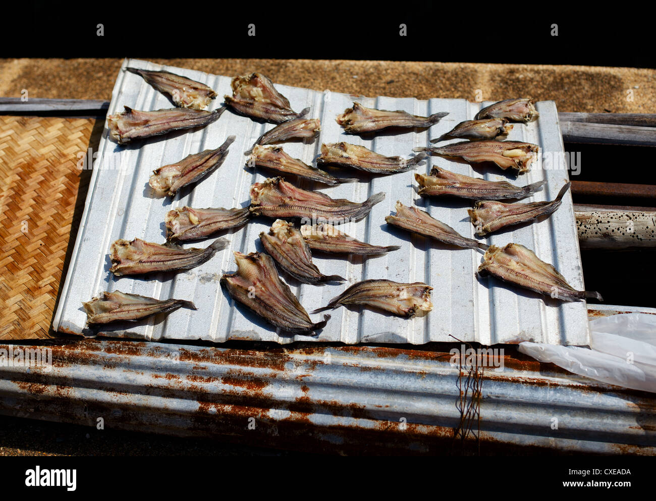 Small Dry Fish Stock Photo - Alamy