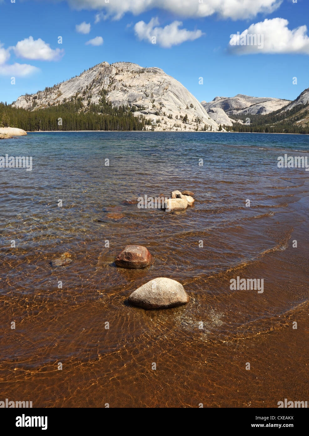 The beach at the shallow lake Stock Photo - Alamy
