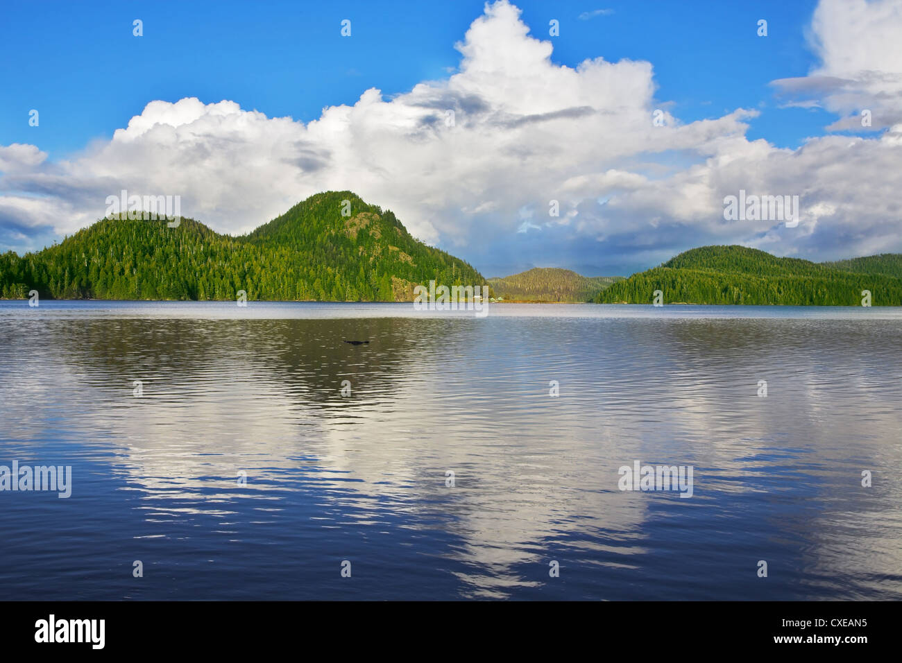 Easy wind hi-res stock photography and images - Alamy