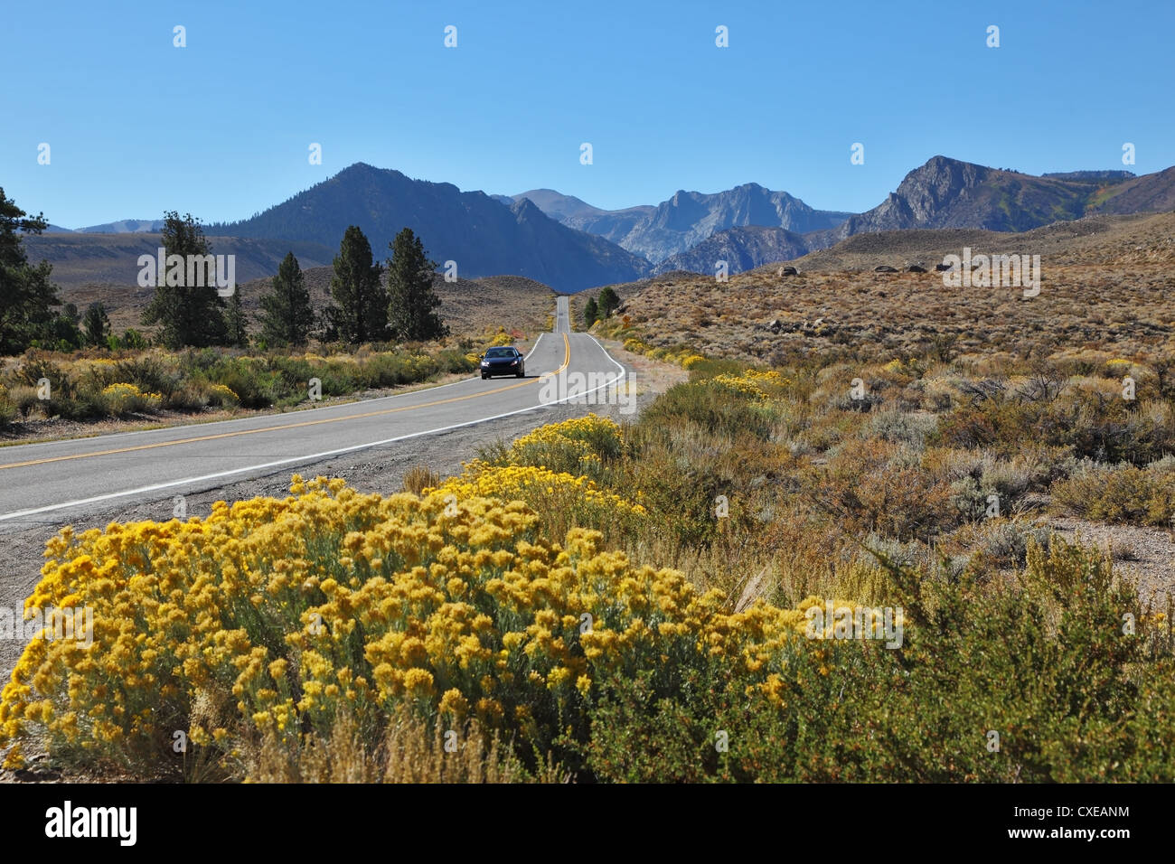 A trip through the colorful autumn desert Stock Photo - Alamy