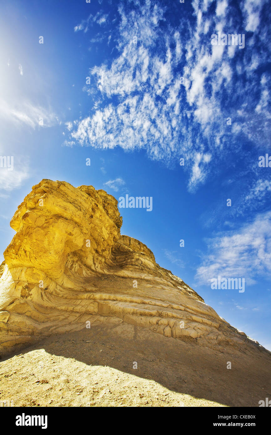 The head of a sphynx Stock Photo - Alamy