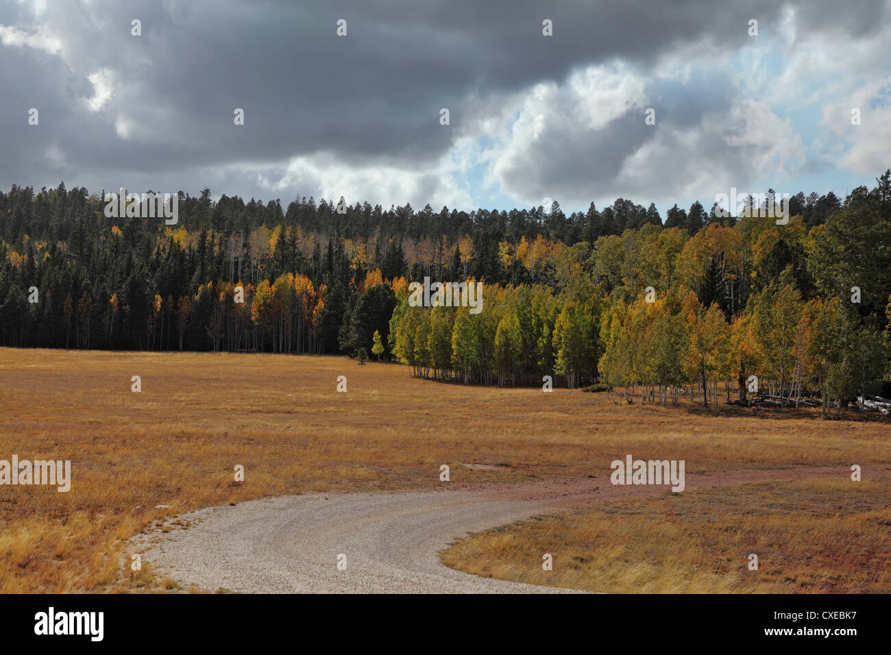 Autumn fields Stock Photo - Alamy