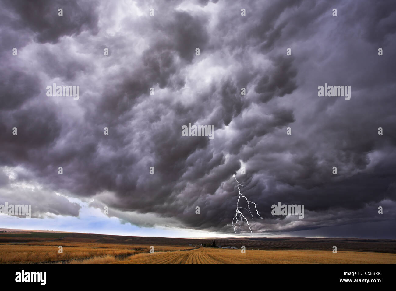 The thundercloud and lightning Stock Photo - Alamy