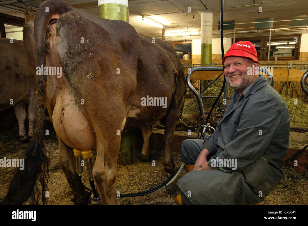 Its Milked High Resolution Stock Photography and Images - Alamy
