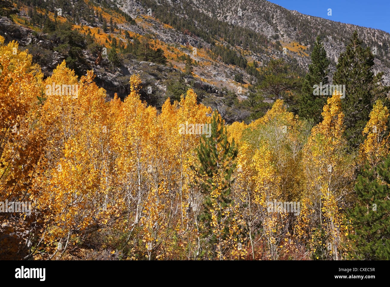 Amazingly beautiful hi-res stock photography and images - Alamy