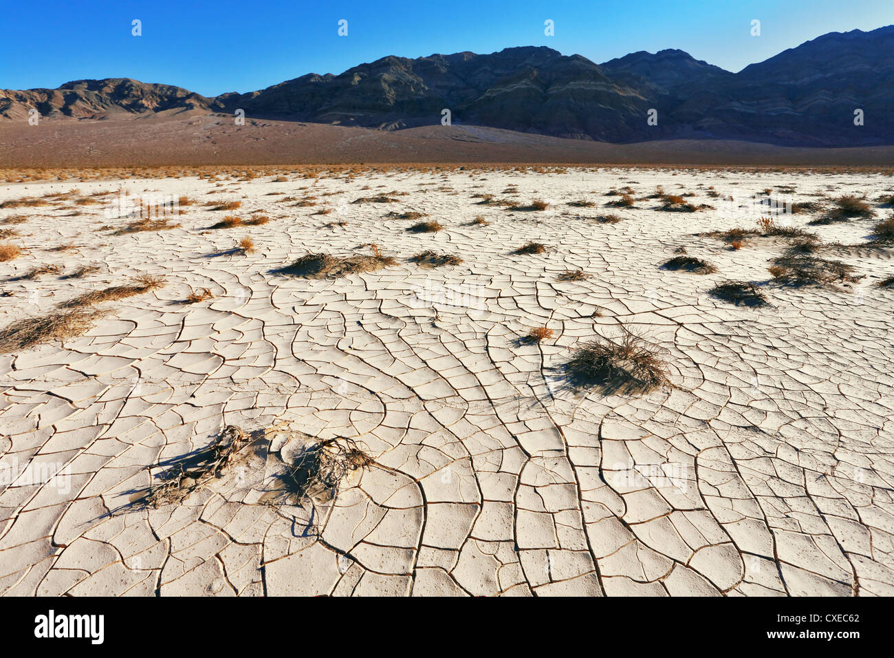 Cracked dry ground in hi-res stock photography and images - Alamy