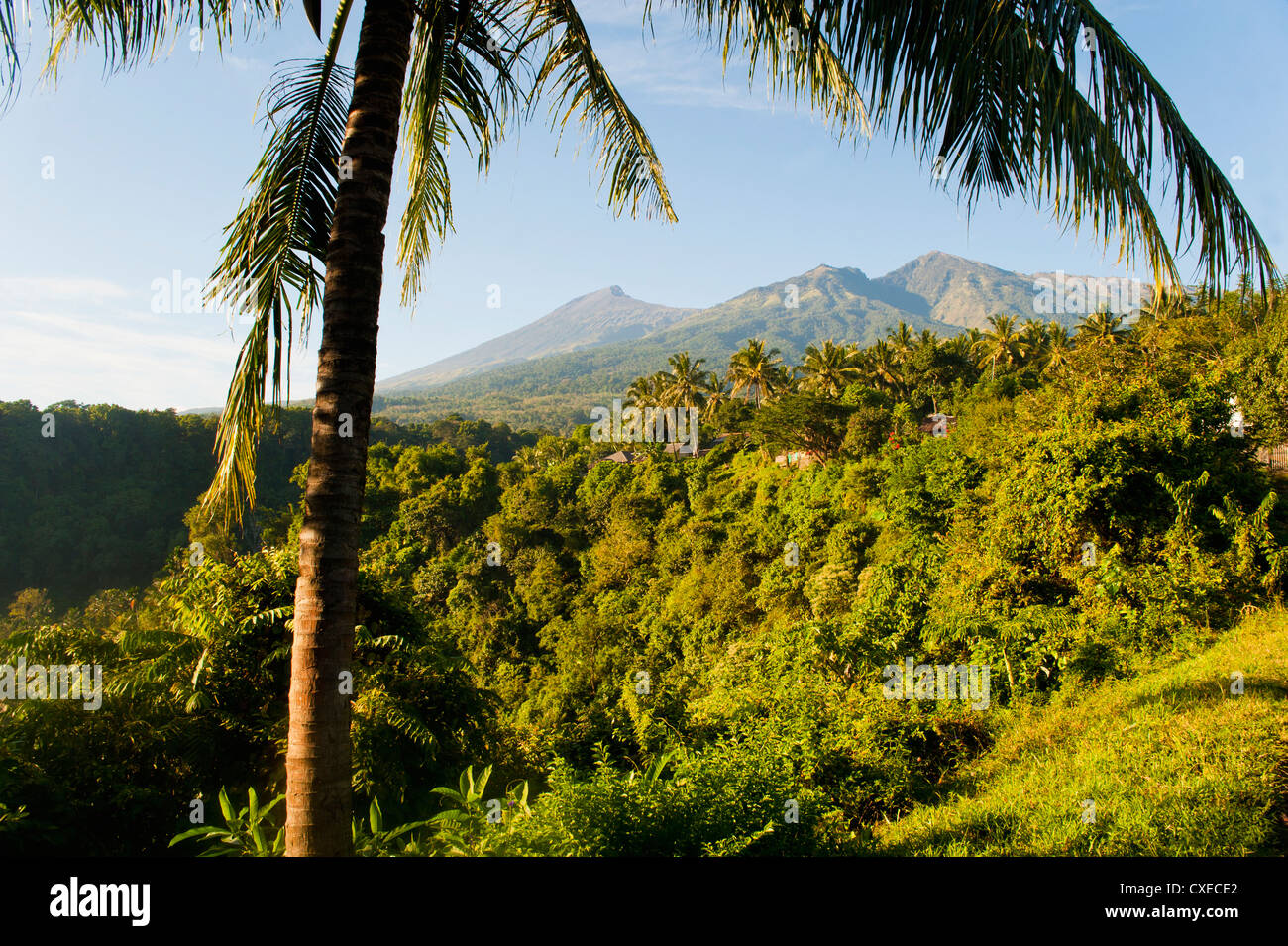 Mount Rinjani Summit, an active volcano on Lombok, Indonesia, Southeast ...