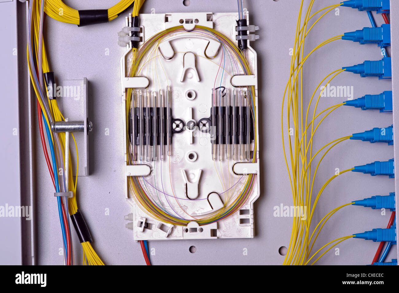 Photo of optic cable connection Stock Photo - Alamy