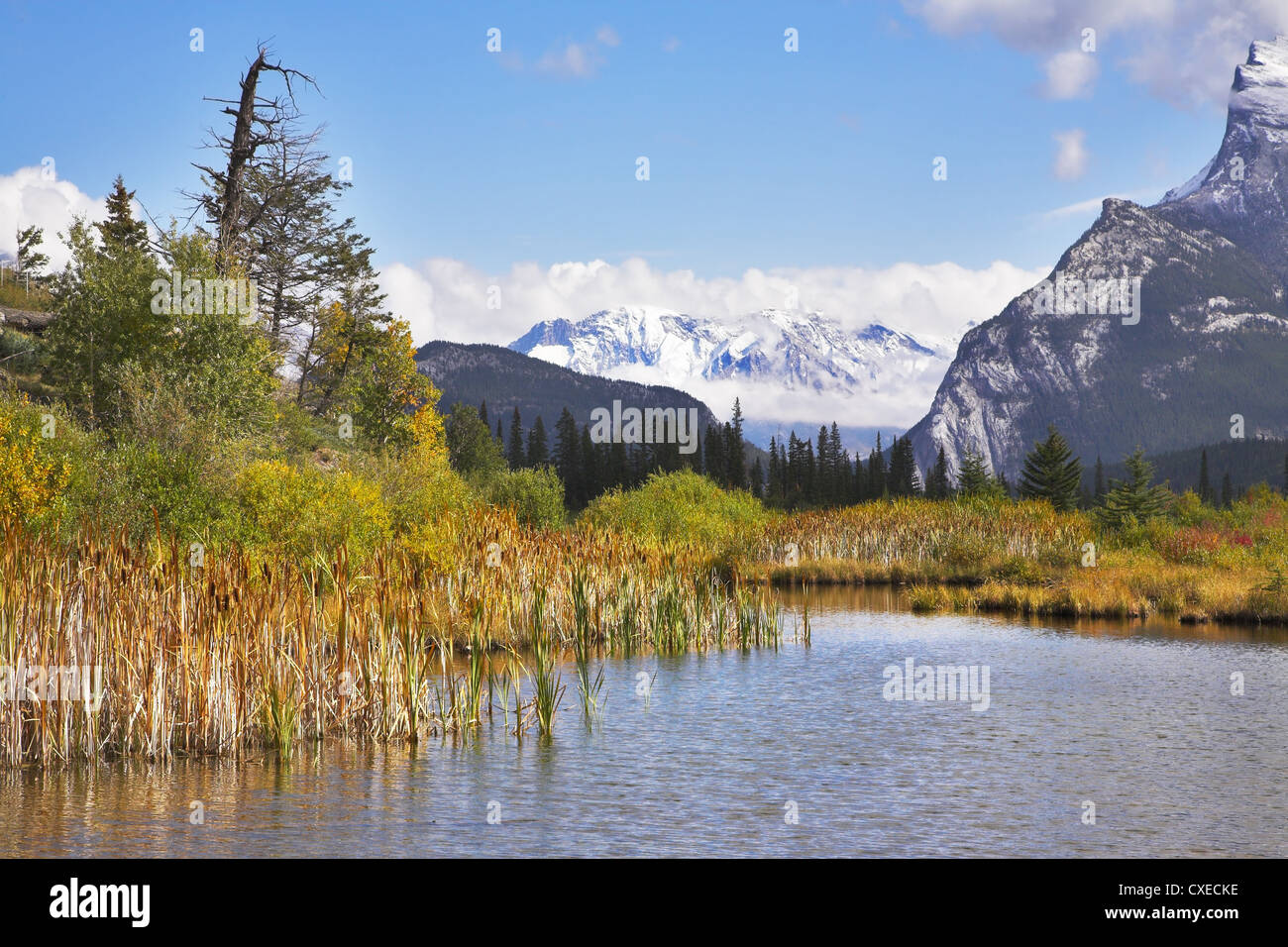 Bogs hi-res stock photography and images - Alamy