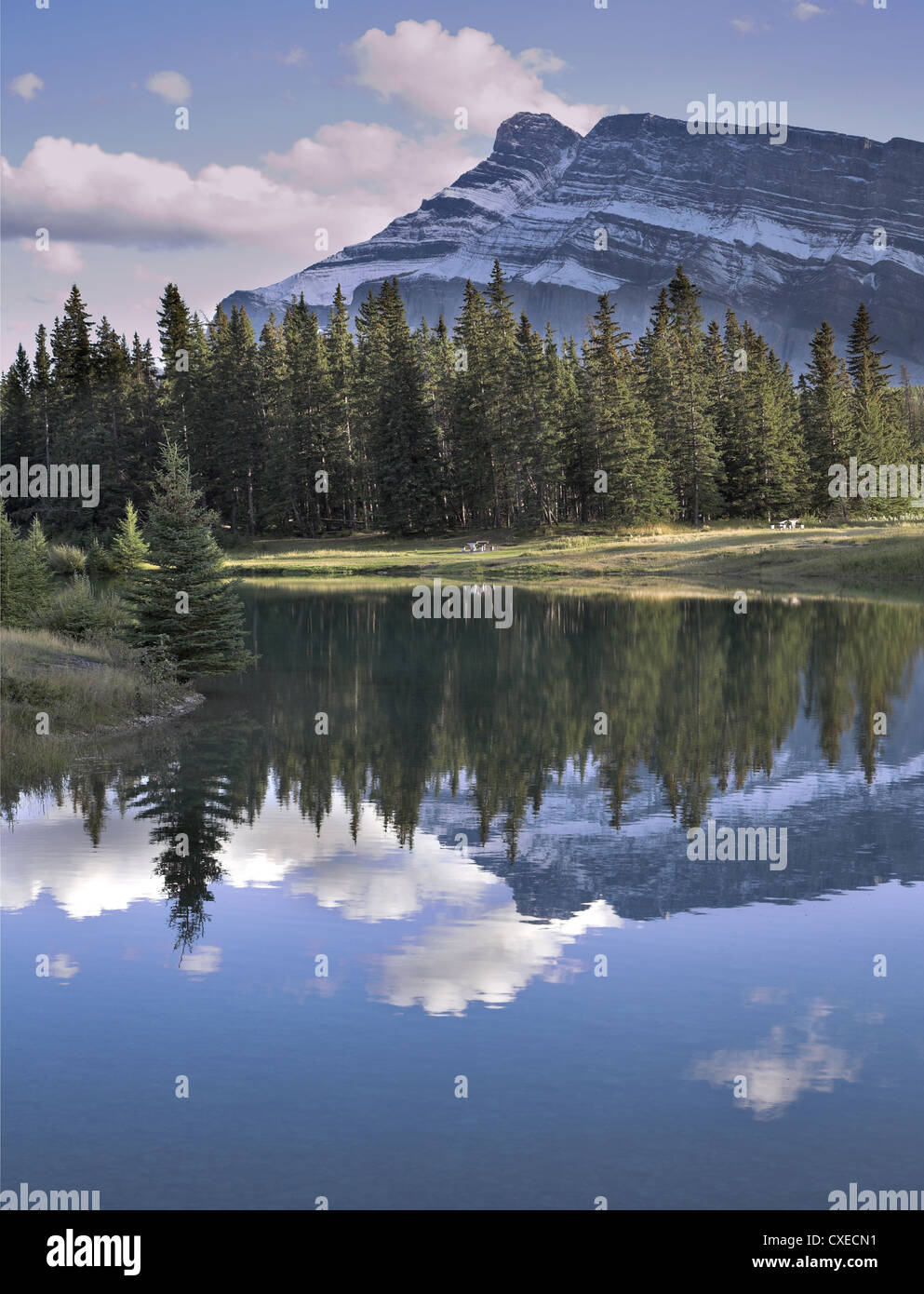 Evergreen solar hi-res stock photography and images - Alamy