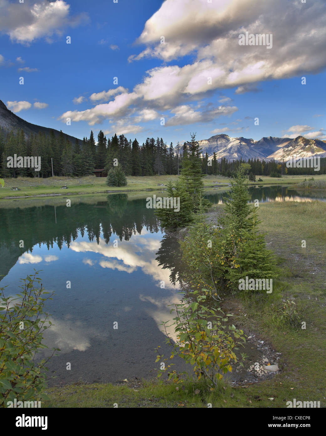 Light of morning Stock Photo - Alamy