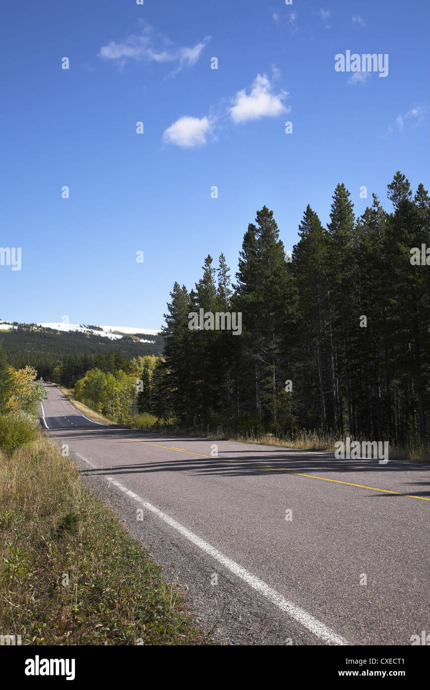 Shadows and trees hi-res stock photography and images - Alamy