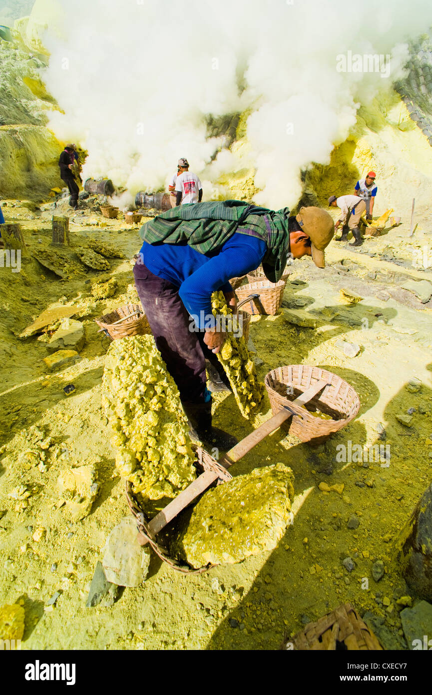 Sulphur miner working at Kawah Ijen, Java, Indonesia, Southeast Asia ...
