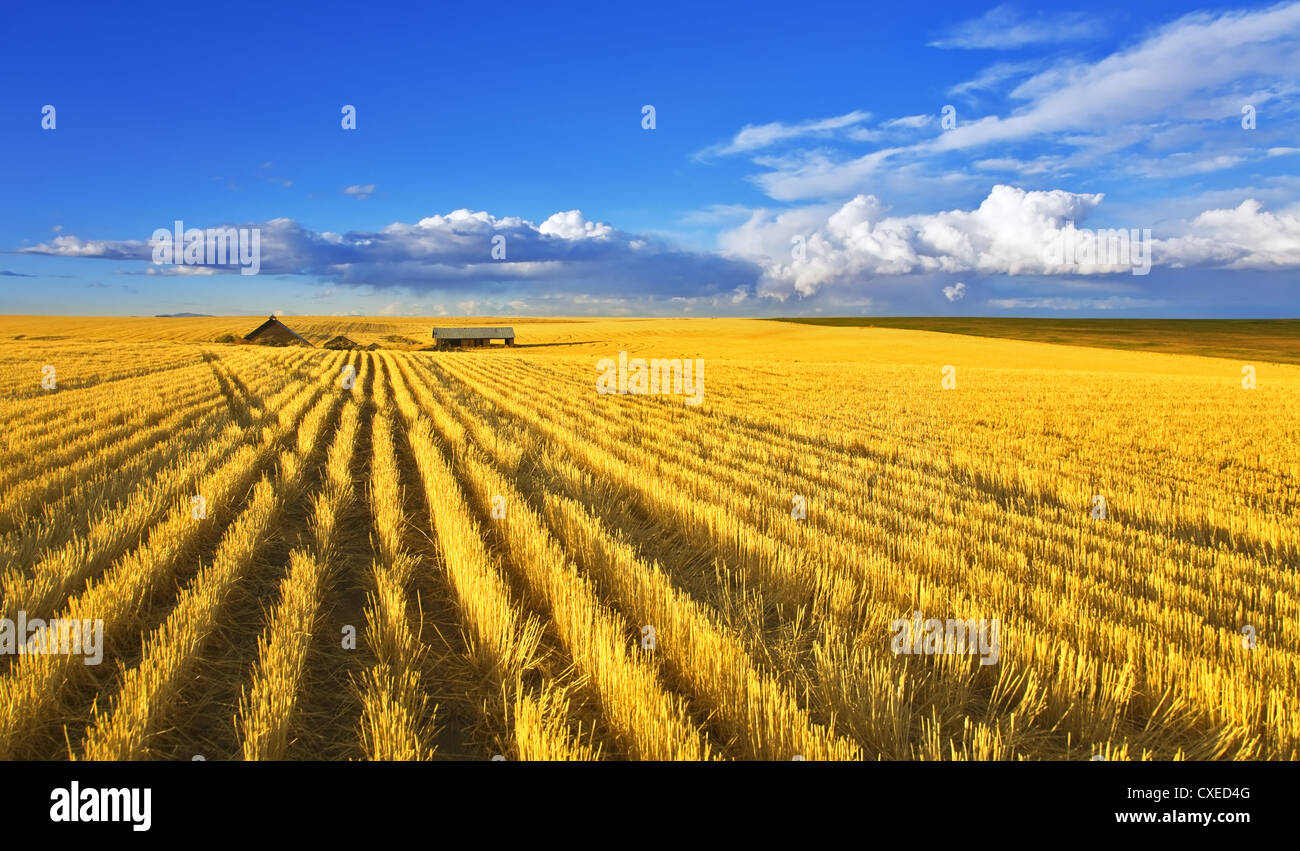 Solar fields hi-res stock photography and images - Alamy