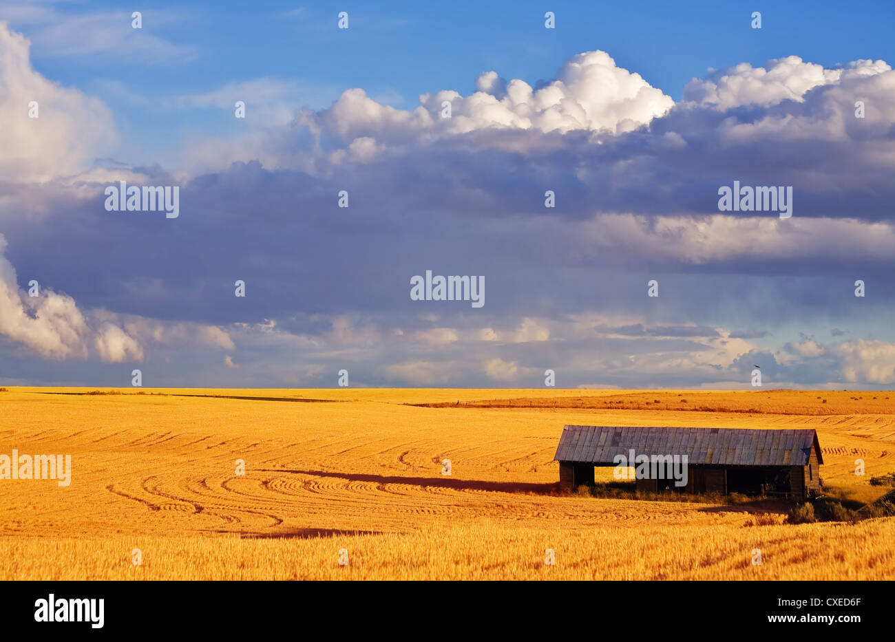 Empty wooden canopy Stock Photo - Alamy