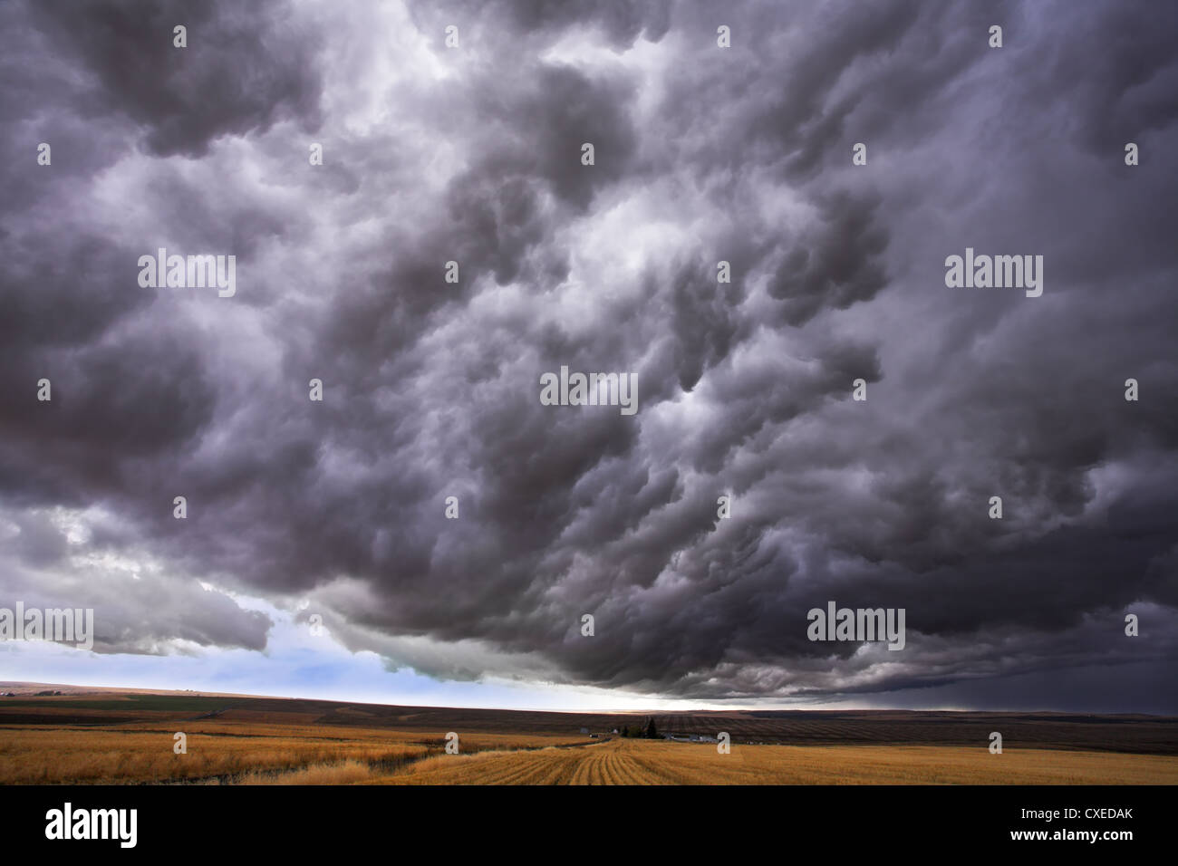 Thundercloud hi-res stock photography and images - Alamy