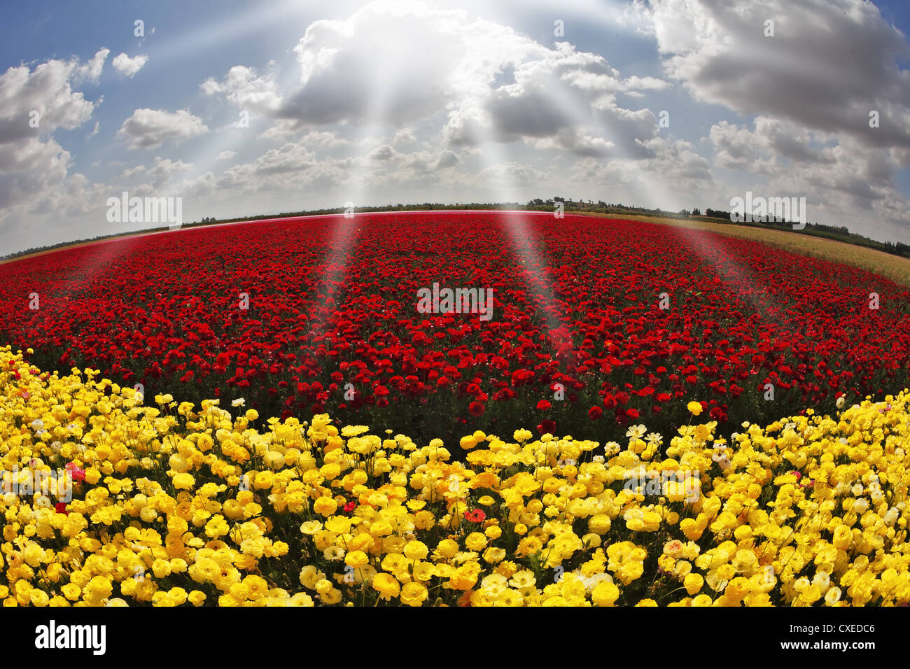 Solar spring hi-res stock photography and images - Alamy