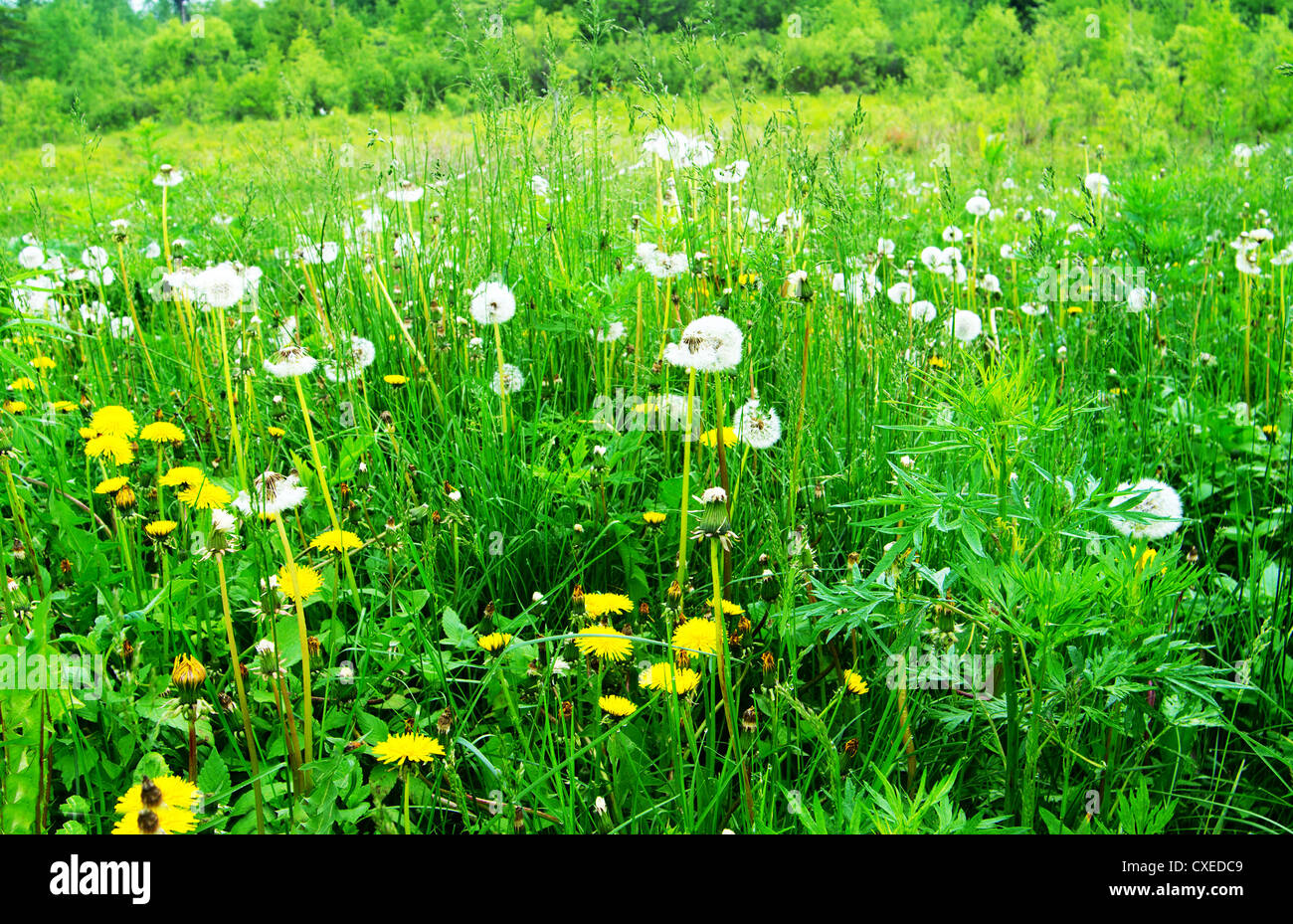 Outdoor scenery hi-res stock photography and images - Alamy