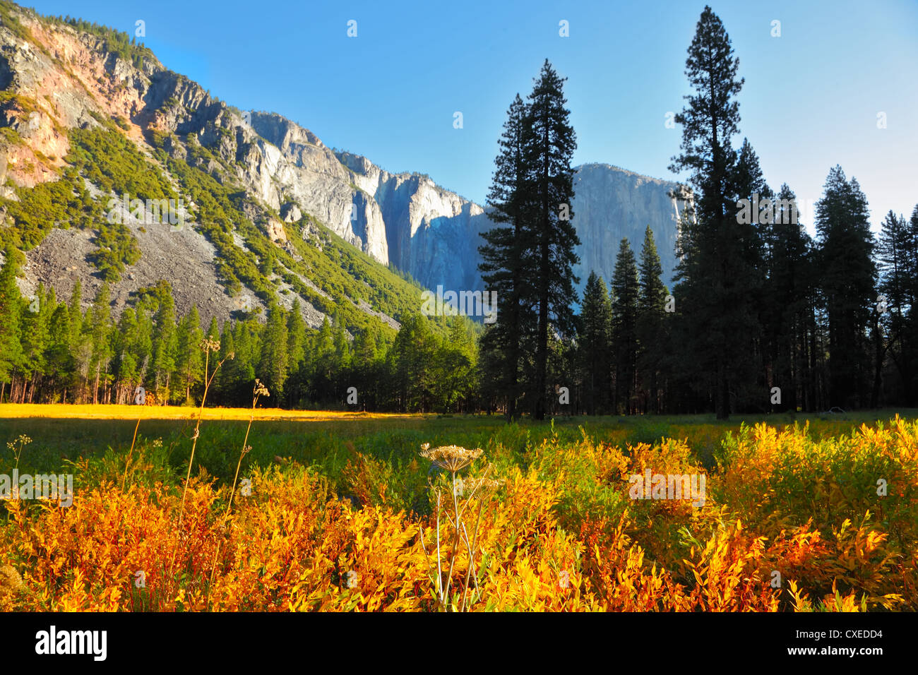 Early autumn in valley of mountains Stock Photo - Alamy