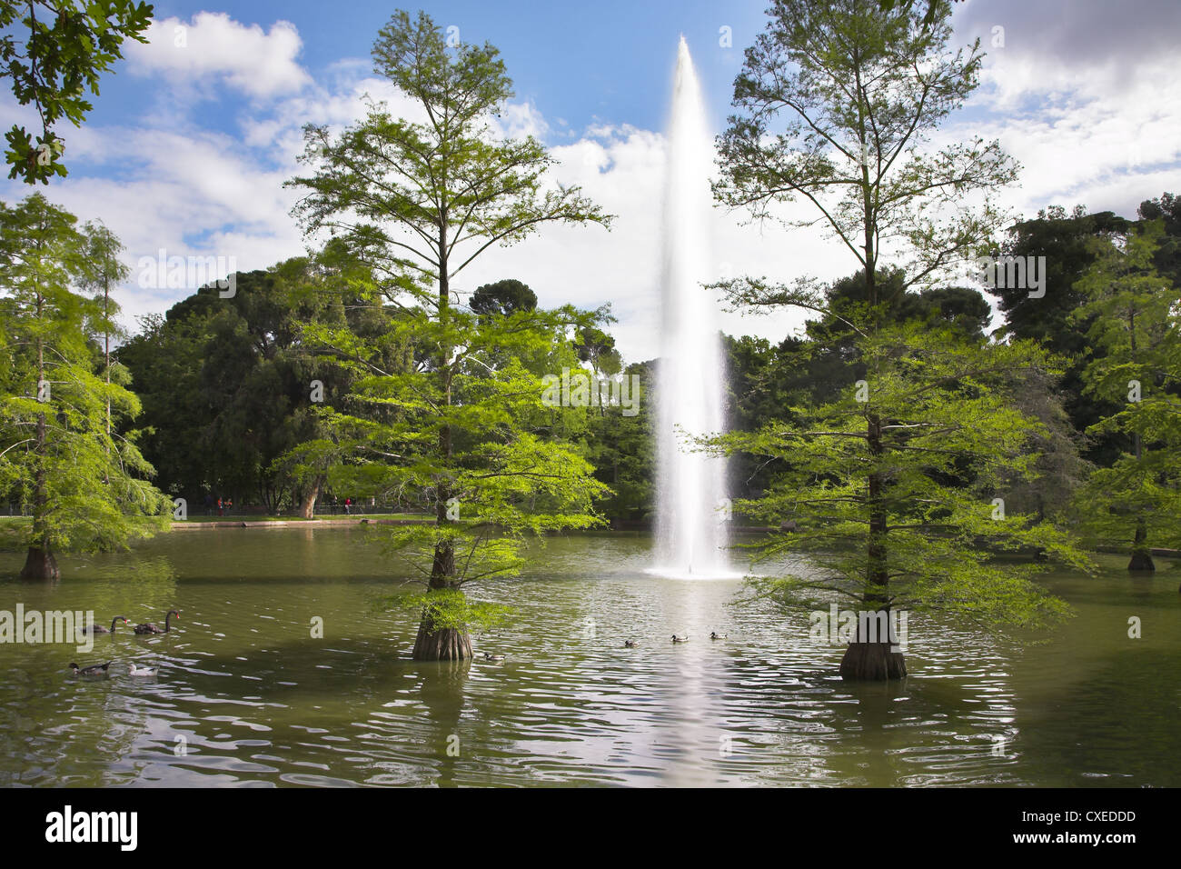 Charming lake in the Madrid park Stock Photo - Alamy