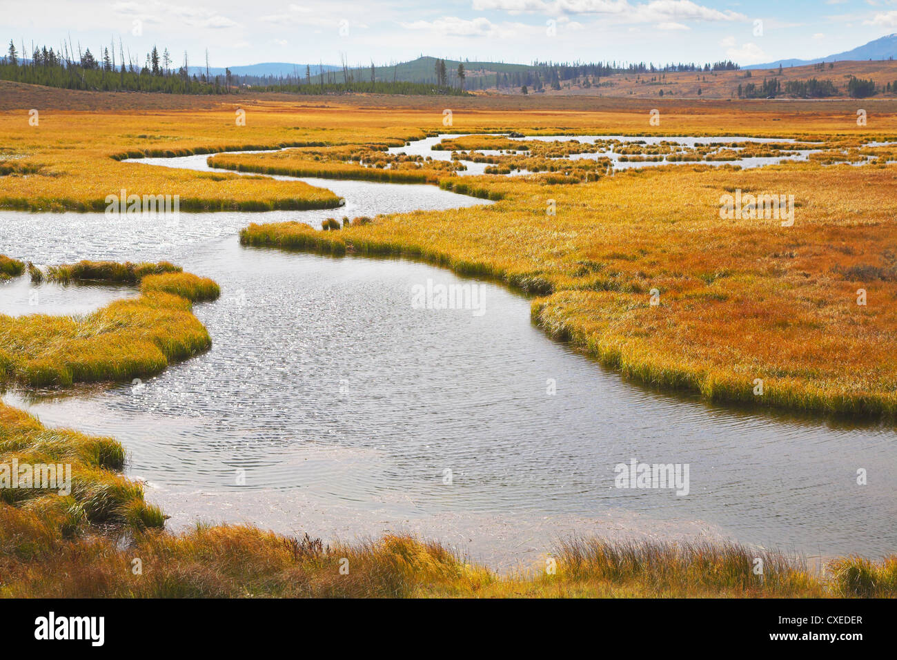 Twisting small stream Stock Photo - Alamy