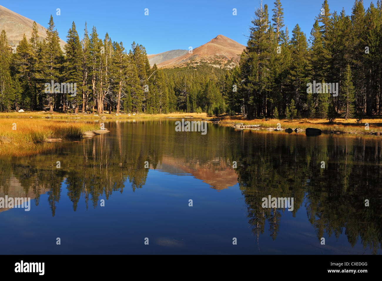Charming shallow lake Stock Photo - Alamy
