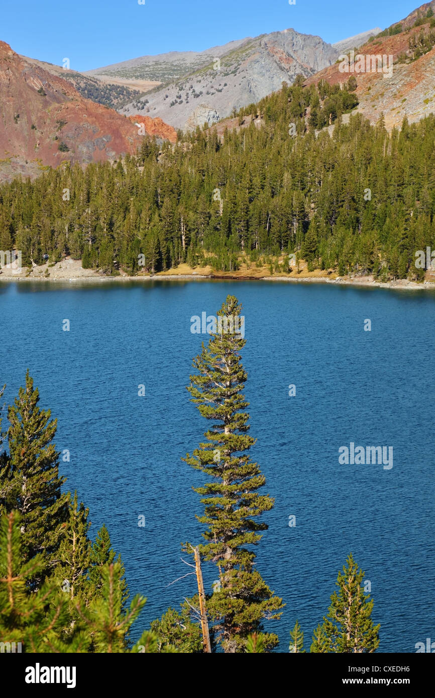 Lake Tioga, Yosemite park Stock Photo - Alamy