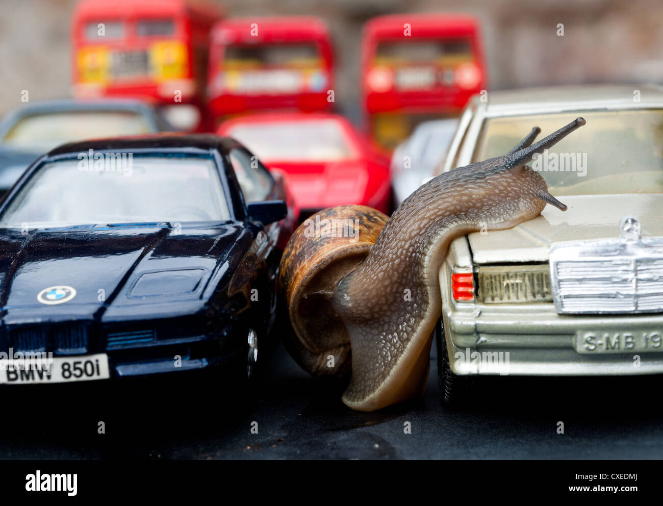 Snails pace hi-res stock photography and images - Alamy