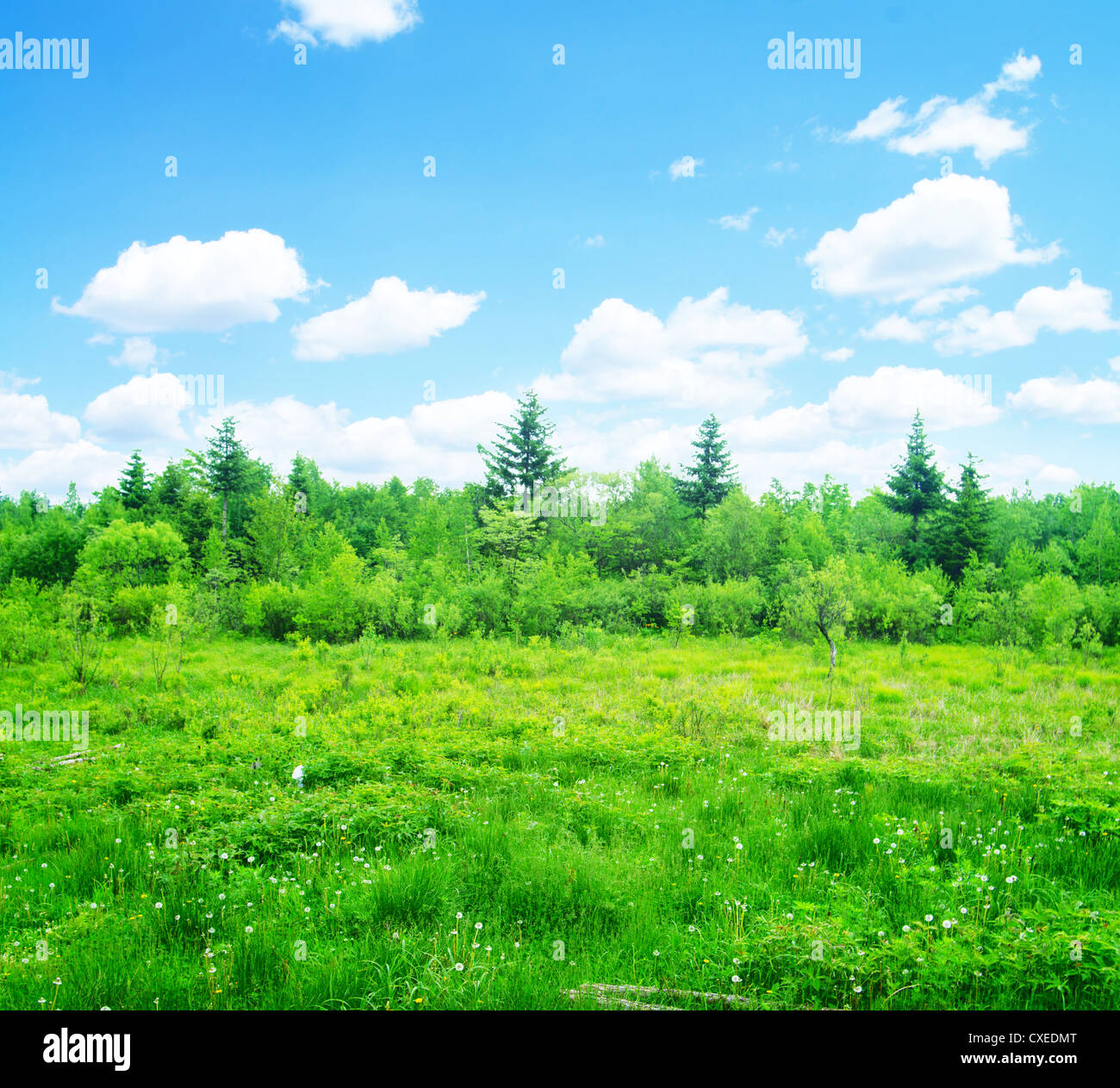 Beautiful scenery in northern china hi-res stock photography and images ...