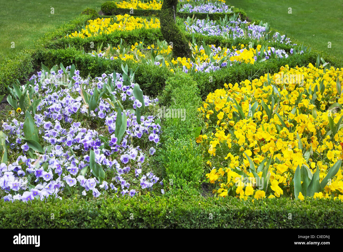 Line flower hi-res stock photography and images - Alamy