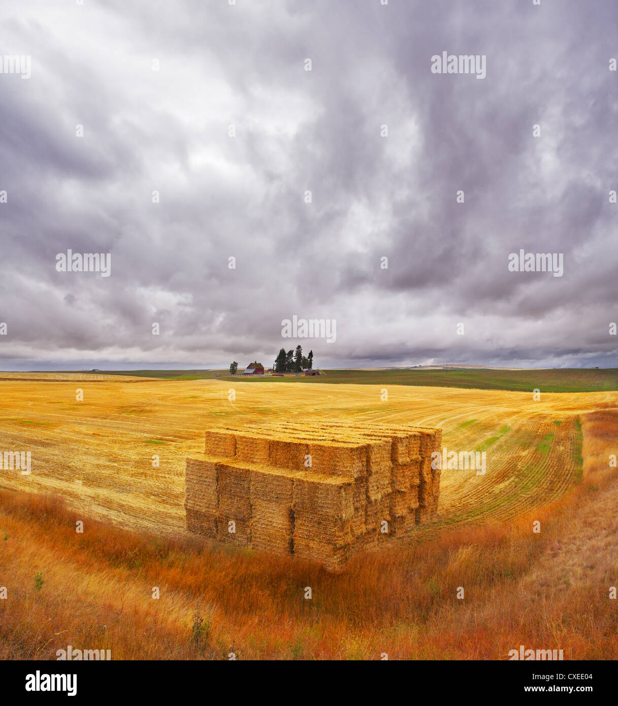 Field and accurately combined stacks Stock Photo - Alamy