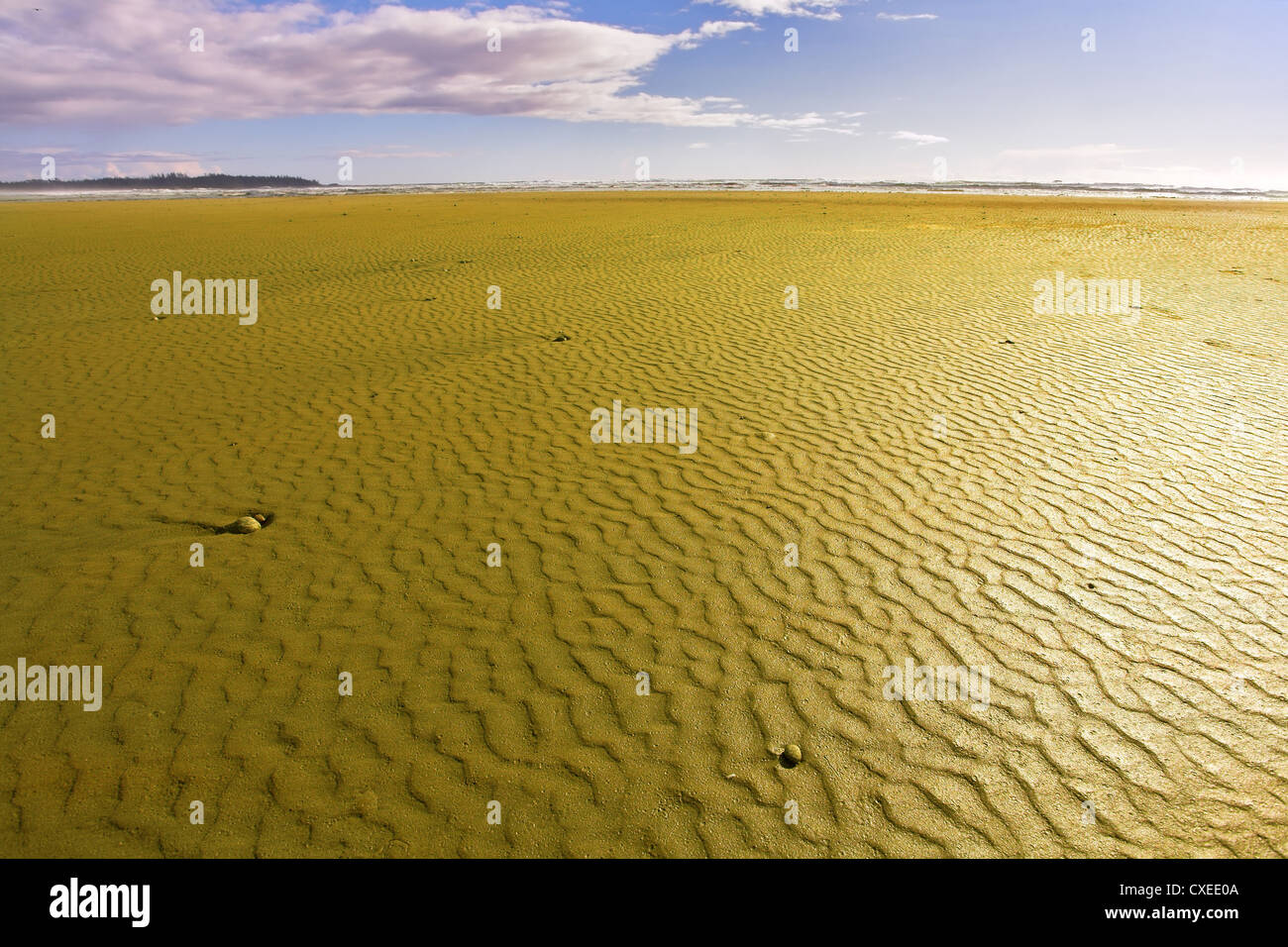 Huge ocean beach on island Vancouver Stock Photo - Alamy