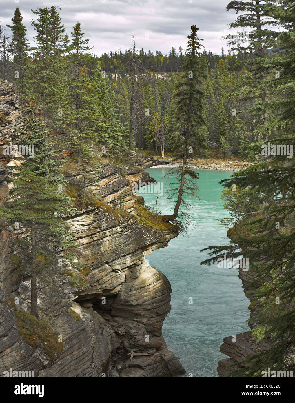 Canyon deep hi-res stock photography and images - Alamy