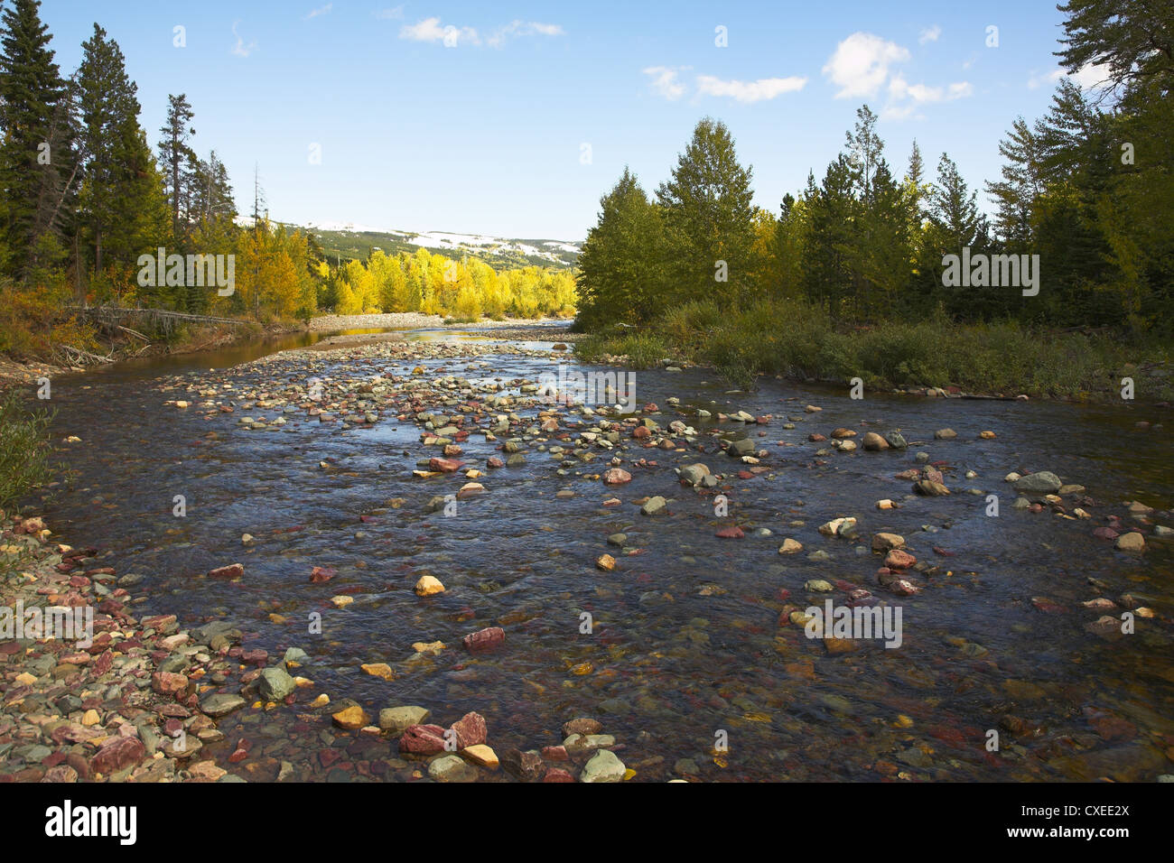 Shallow shade hi-res stock photography and images - Alamy