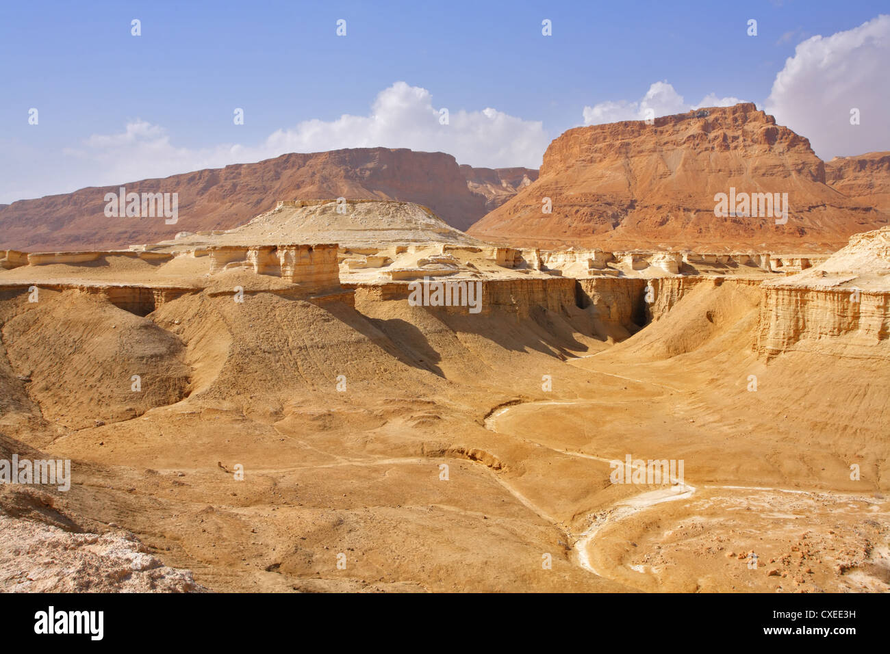 Dry canyon near to the Dead Sea Stock Photo - Alamy