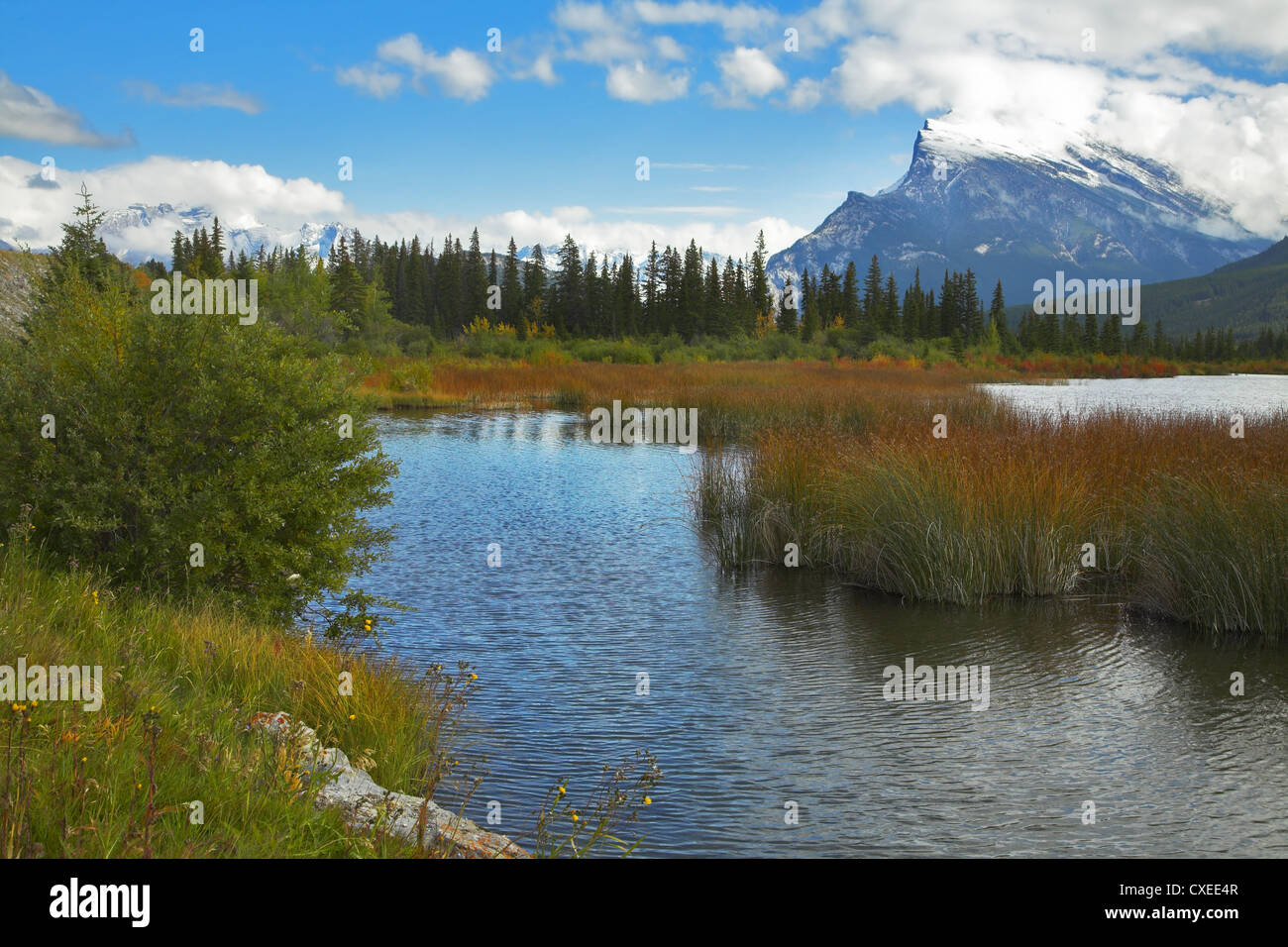 Shallow emerald water hi-res stock photography and images - Alamy