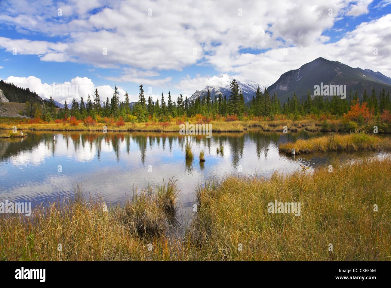 Northern lake hi-res stock photography and images - Alamy
